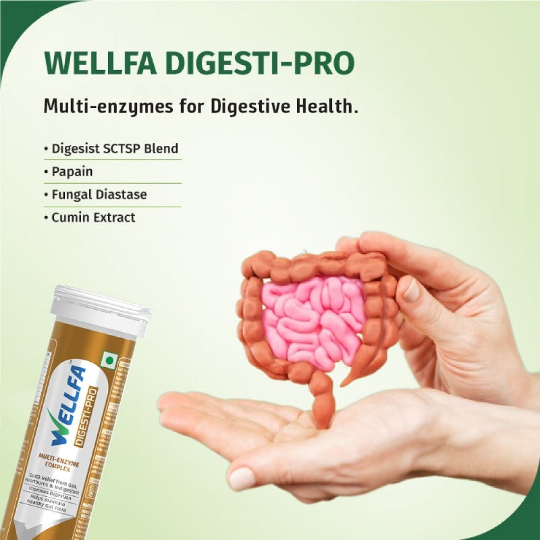 Eazy Digestion Combo - Digestion & Gut Health Tablets | Wellfa